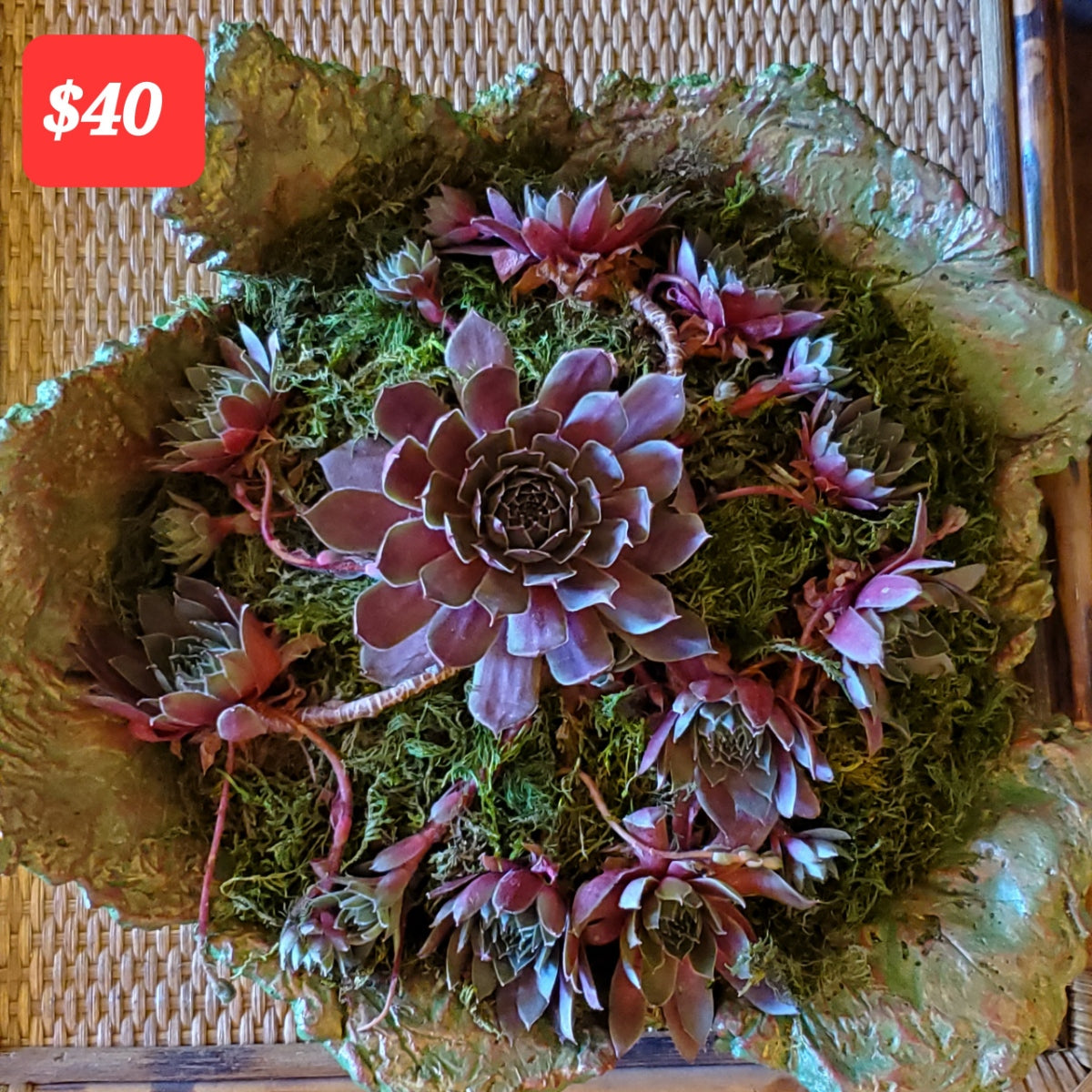 Collections – The Bohemian Goat